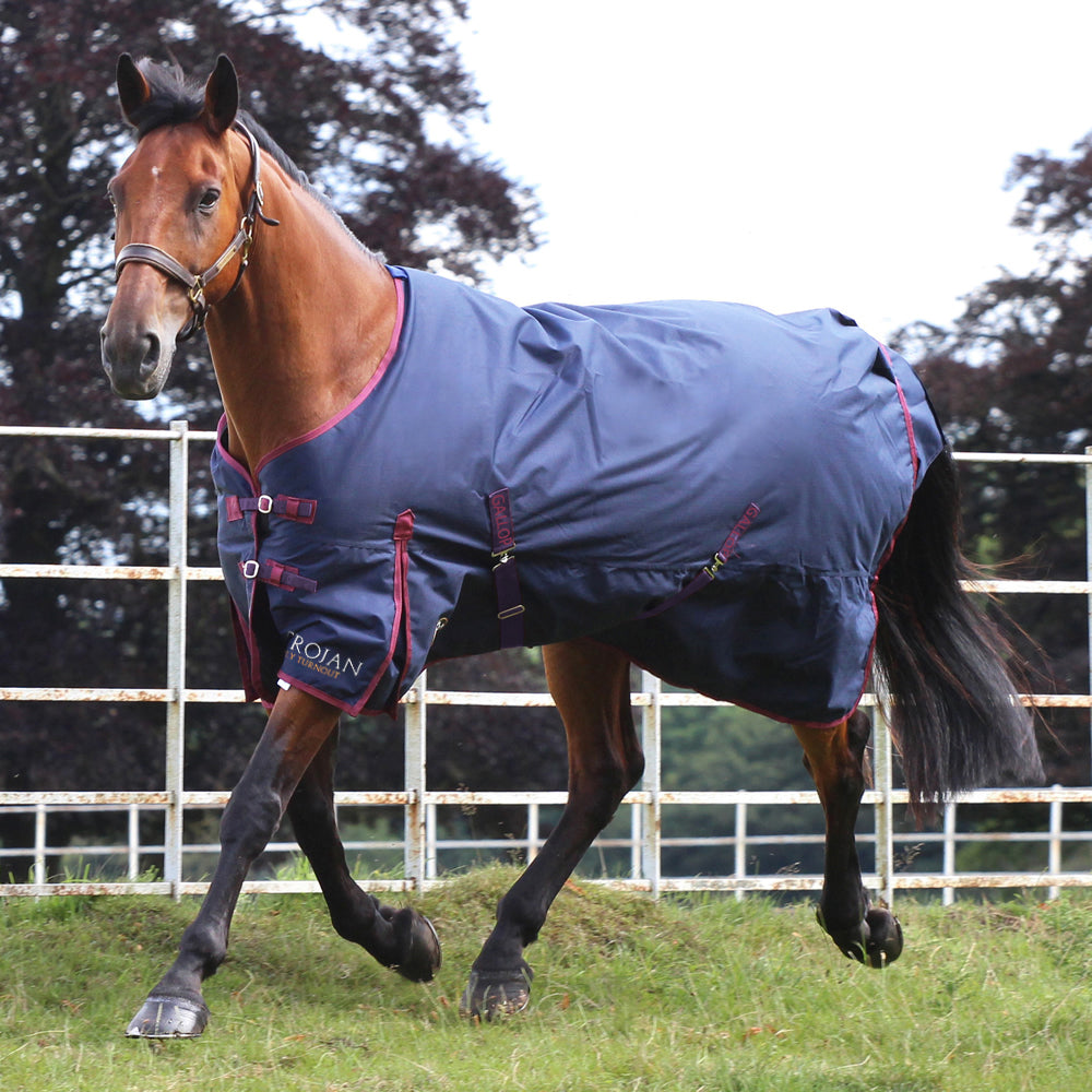 Trojan 50 Standard Turnout Rug | Browbands UK